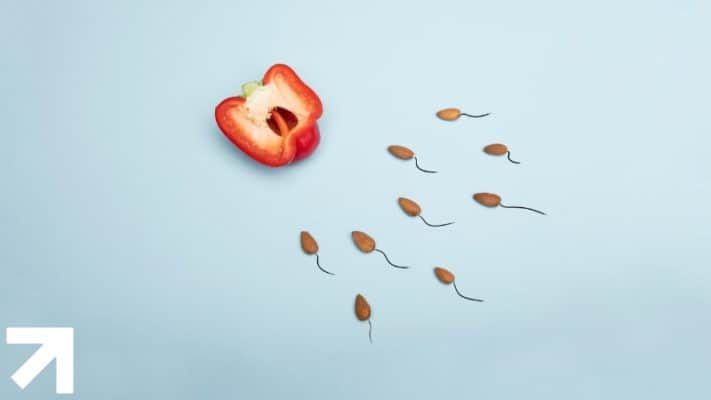Baixa motilidade espermática? O que é e como aumentar - Blog Omens